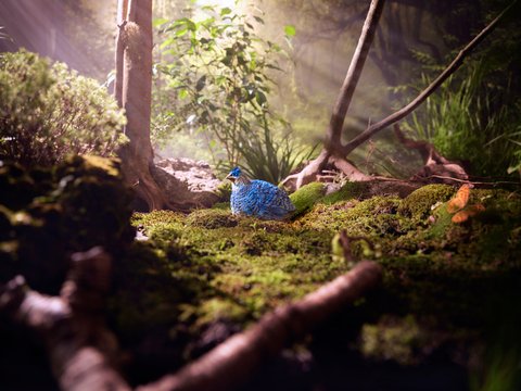 Vow introduces Quailia food invented from Japanese quail - NUFFOODS ...